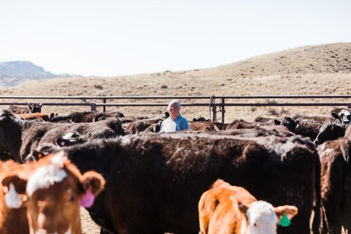 WOMEN YOU SHOULD KNOW IN WYOMING: Meeteetse Rancher Embraces Rugged ...