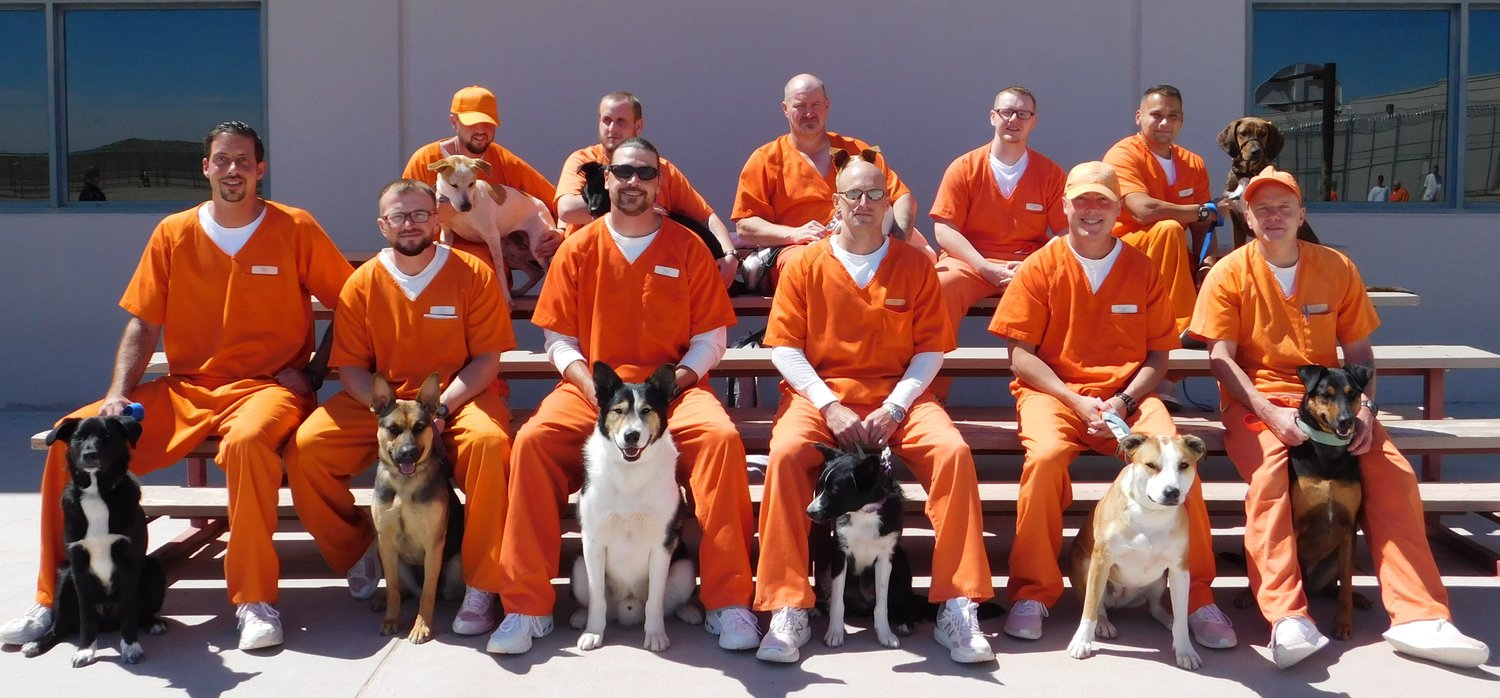 Wyoming State Penitentiary Launching New Dog Training Initiative - The ...