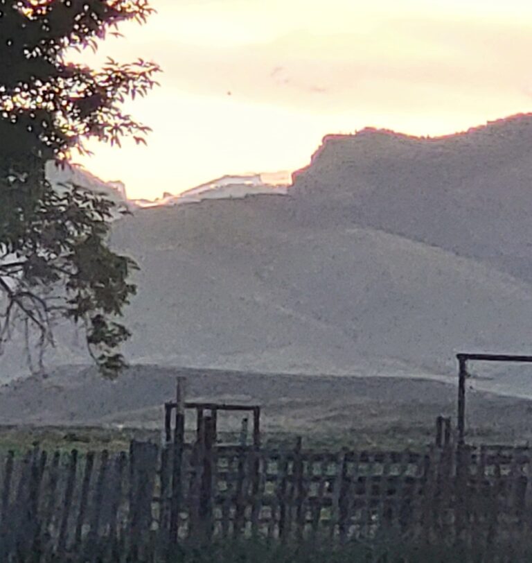 Tangled Jurisdiction, Understaffed Police Department Blamed for High ...