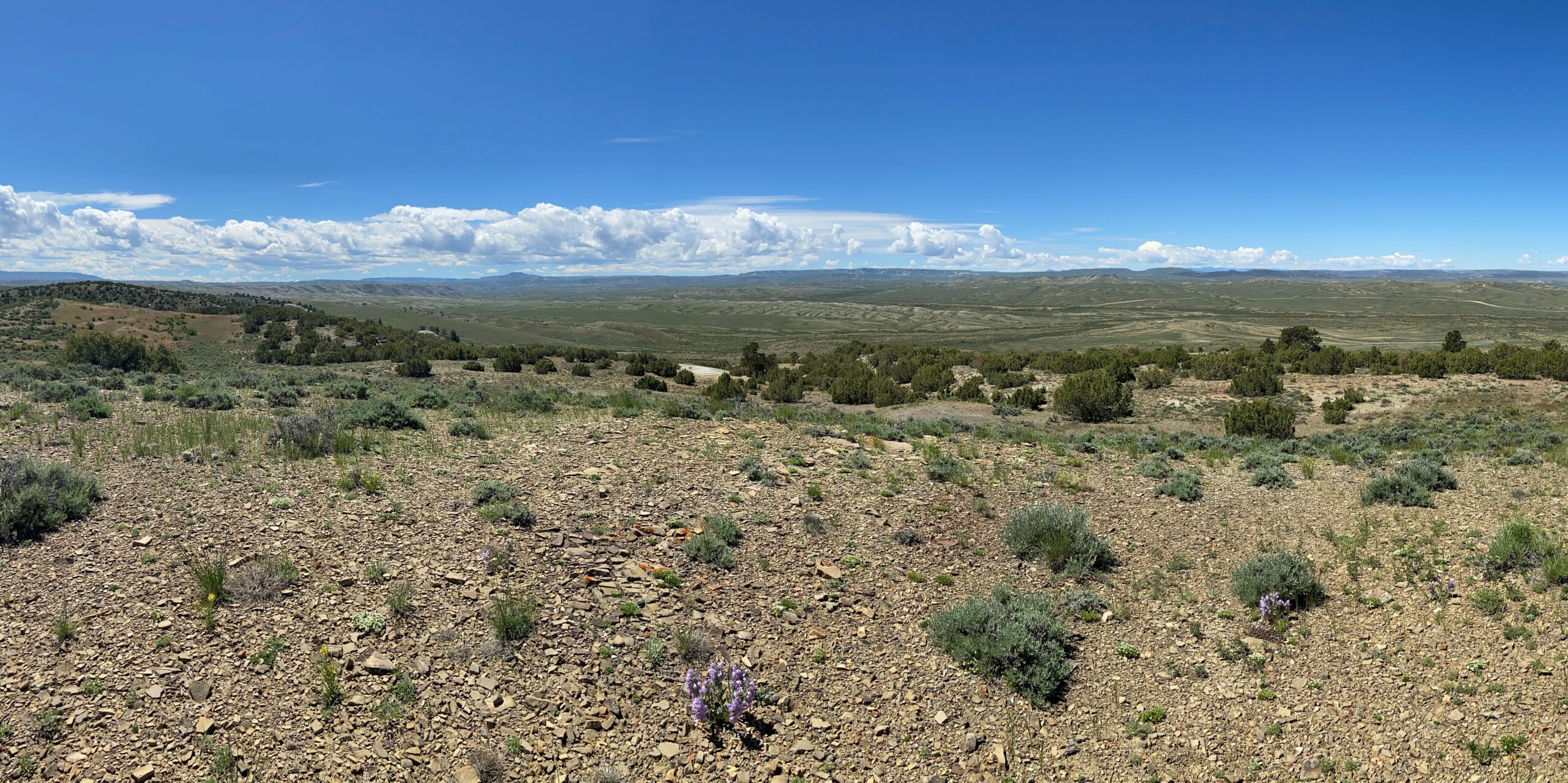 Marton Ranch’s Future Coming Into Focus - The Wyoming Truth