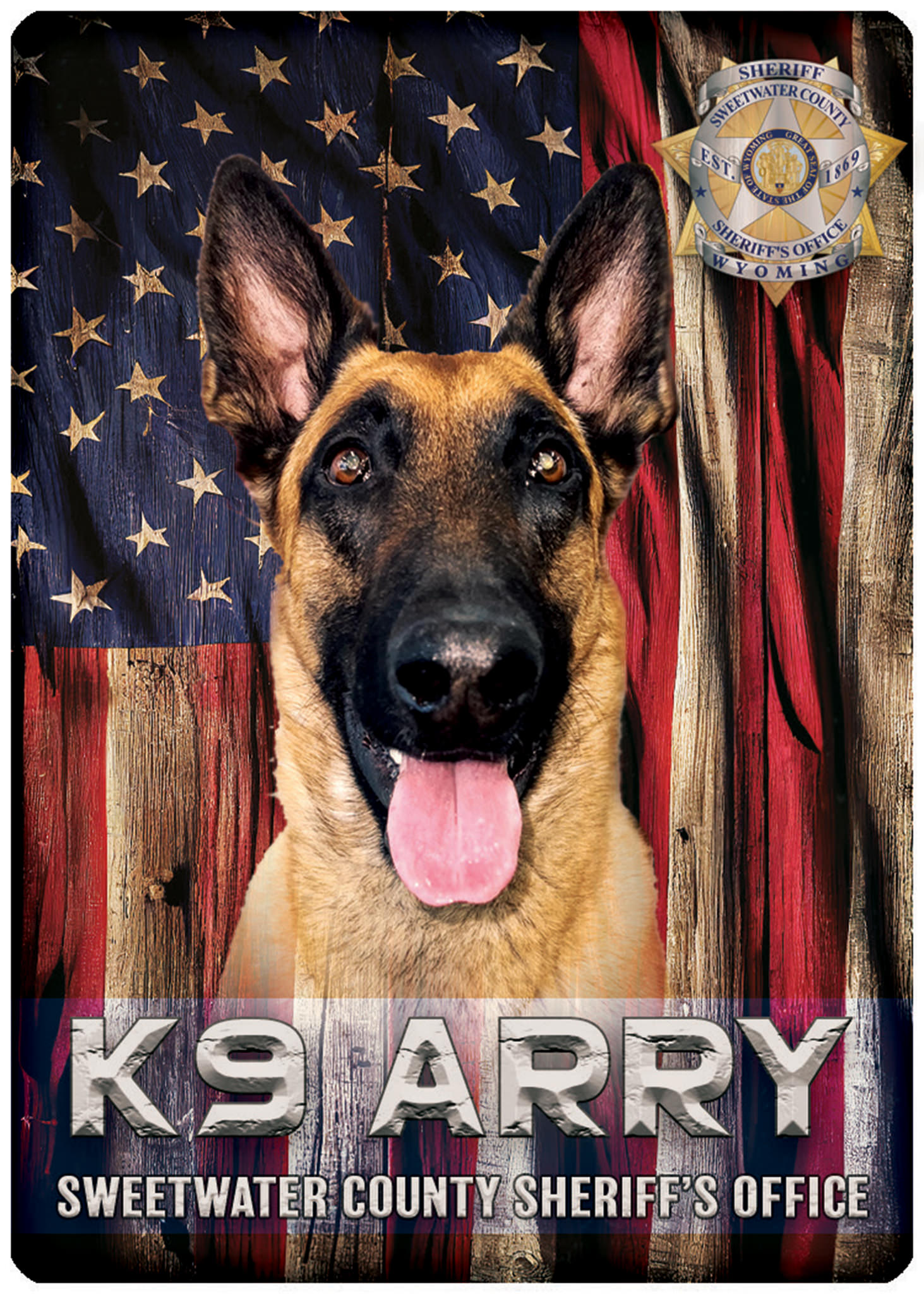 Law Enforcement K9 in Sweetwater County to Receive Body Armor - The ...