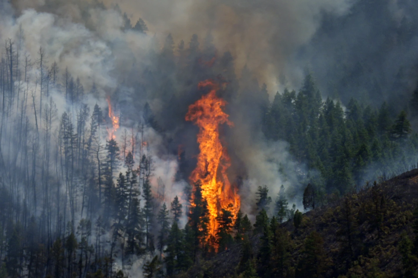 1 Person Killed in Colorado Wildfires as Blazes Torch Large Areas of ...