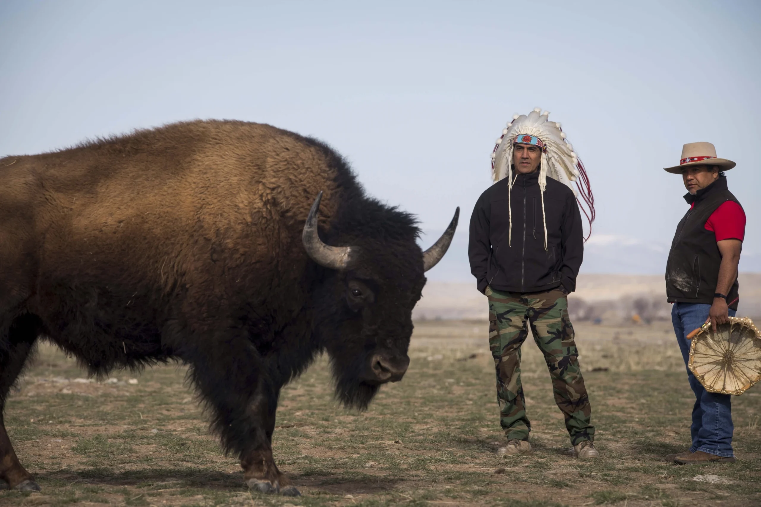 In Wyoming, the Eastern Shoshone Tribe Decided to Classify Buffalo as ...